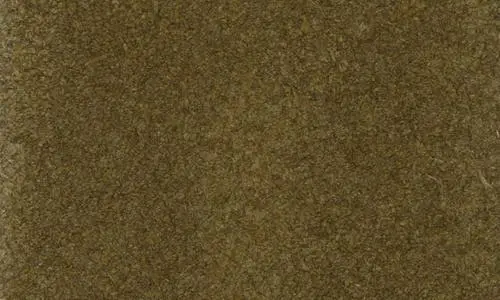 Madewell Suede Belt - Kale Suede