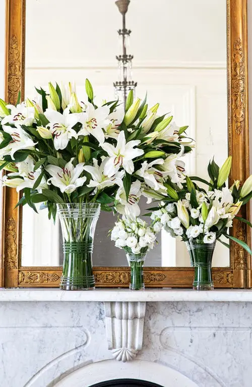 JULISKA Ella 6-inch Corset Vase