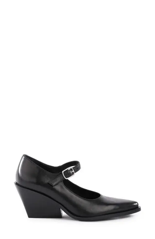 Seychelles Sparks Pointed Toe Mary Jane Pump