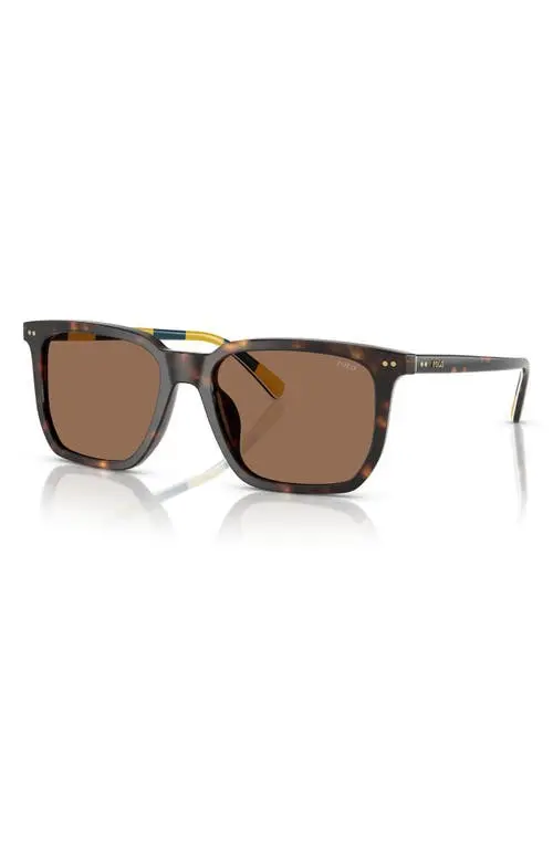 Polo Ralph Lauren Ralph Ralph Lauren 55mm Rectangular Sunglasses - Shiny Havana