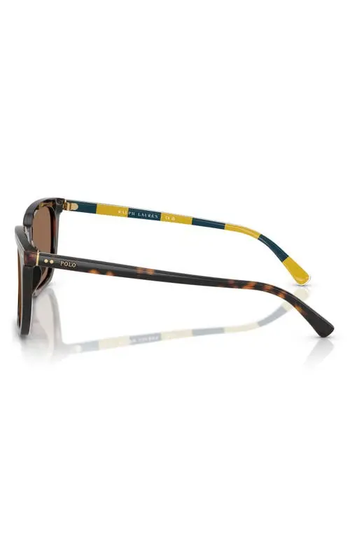 Polo Ralph Lauren Ralph Ralph Lauren 55mm Rectangular Sunglasses - Shiny Havana