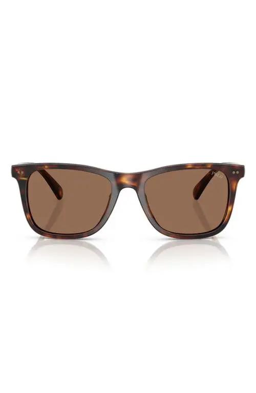 Polo Ralph Lauren Ralph Ralph Lauren 55mm Square Sunglasses - Brown Tort