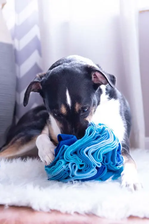 PUPPINGTON Pupper Snuffle Ball For Dogs - Blue