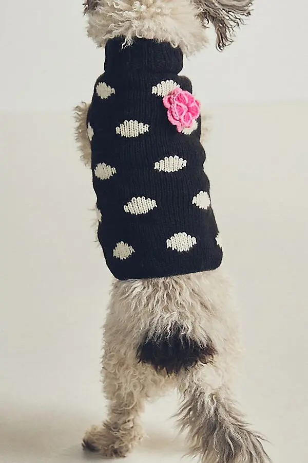 CHILLY DOG Hand-knit Pet Sweater - Black