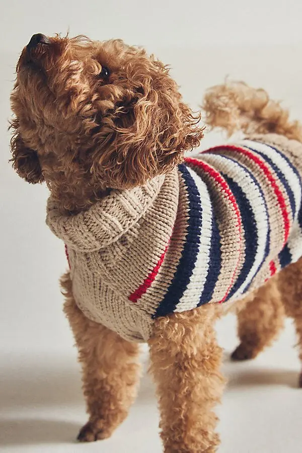 CHILLY DOG Hand-knit Pet Sweater - Navy