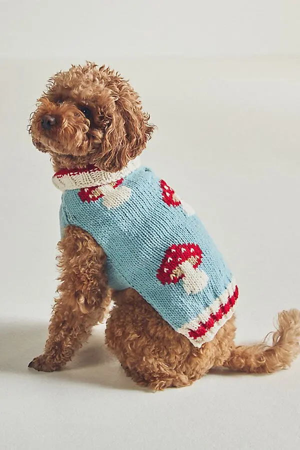 CHILLY DOG Hand-knit Pet Sweater - Sky