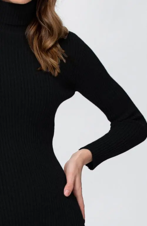 PIETRO BRUNELLI Turtleneck Ribbed Sweater Dress - Black
