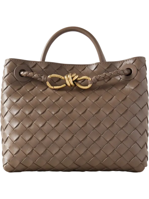 Bottega Veneta Andiamo Small Intrecciato Leather Tote - Brown