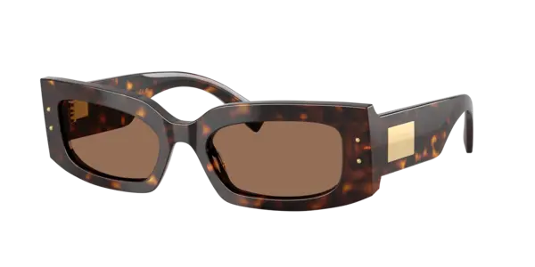 Dolce & Gabbana Sunglasses Dg4479f - Dark Brown