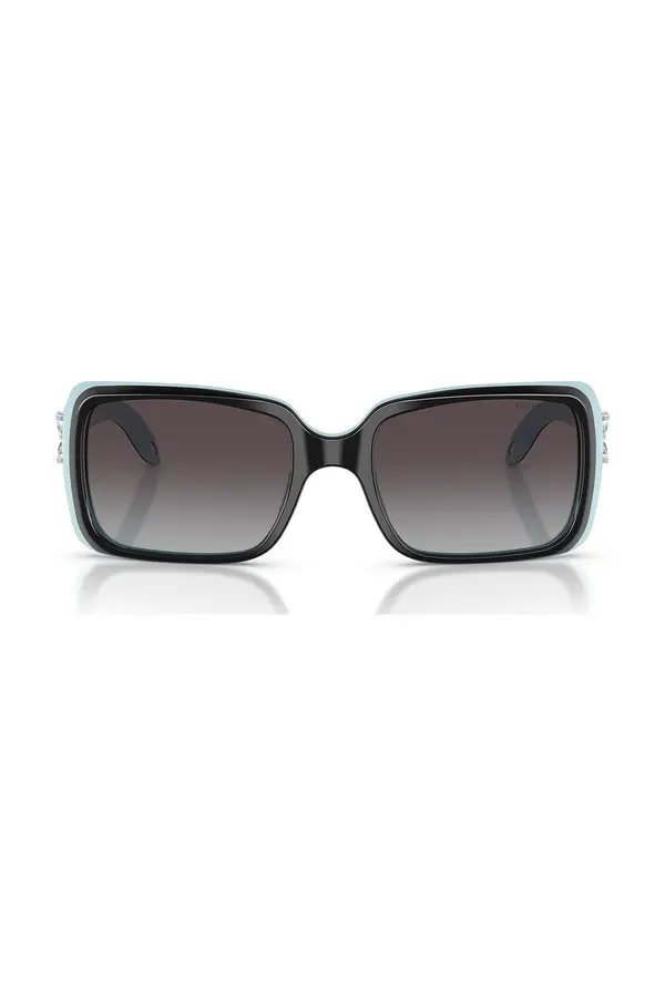 TIFFANY SUNGLASS HUT Tiffany & Co. Rectangle Sunglasses