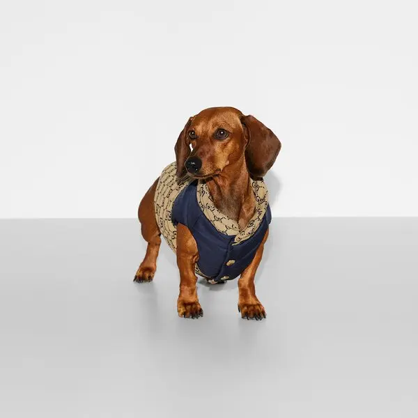Gucci Reversible Gg Pet Coat