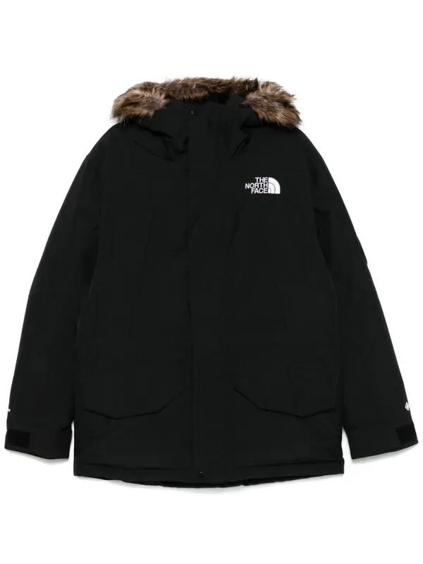 The North Face Mcmurdo 2l Gtx Jacket