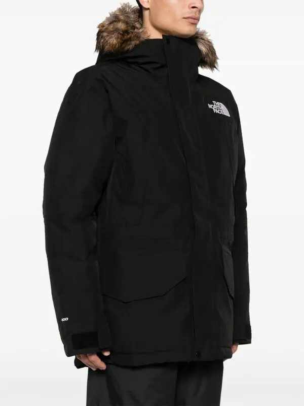 The North Face Mcmurdo 2l Gtx Jacket