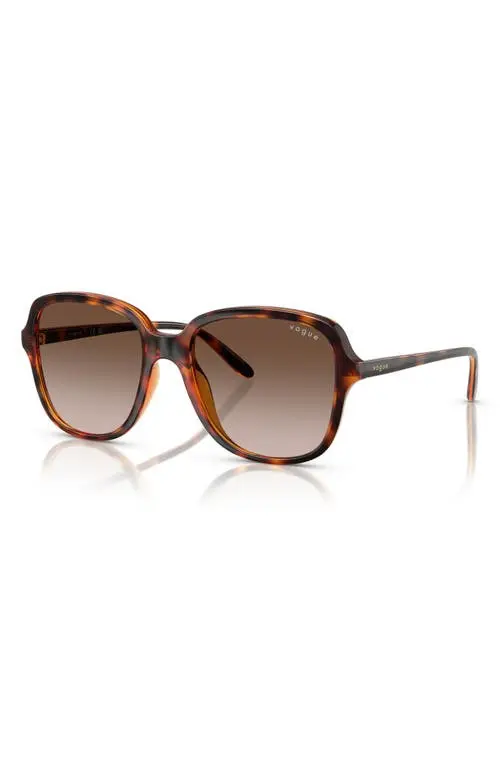 VOGUE 53mm Polarized Square Sunglasses - Dark Havana