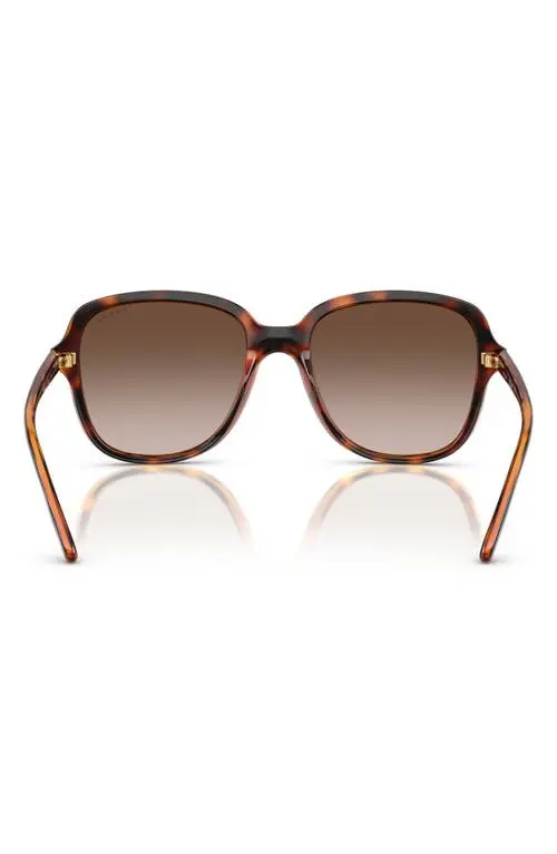 VOGUE 53mm Polarized Square Sunglasses - Dark Havana