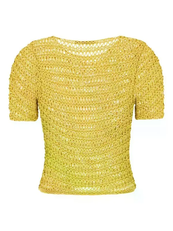 Alberta Ferretti Open-knit T-shirt