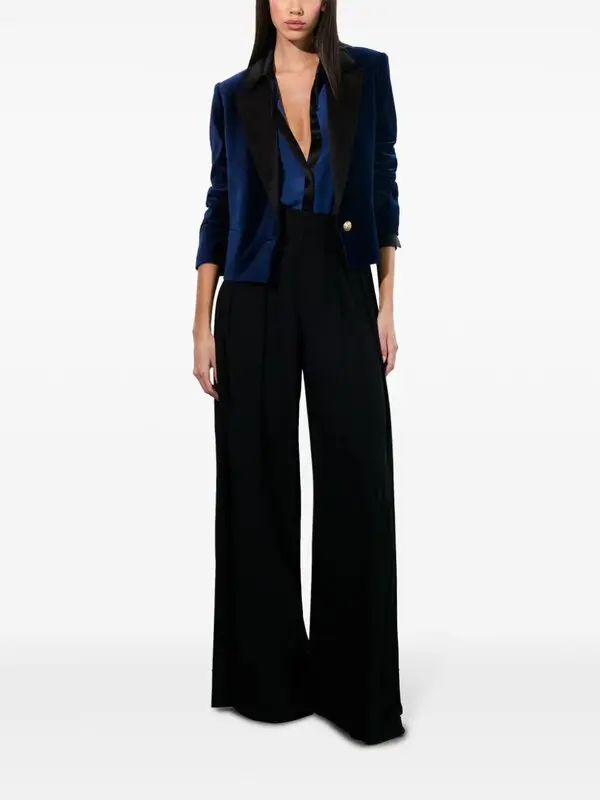 Alice + Olivia Velvet Blazer