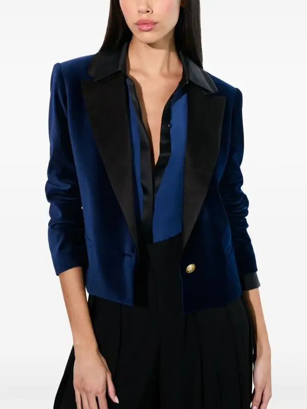 Alice + Olivia Velvet Blazer