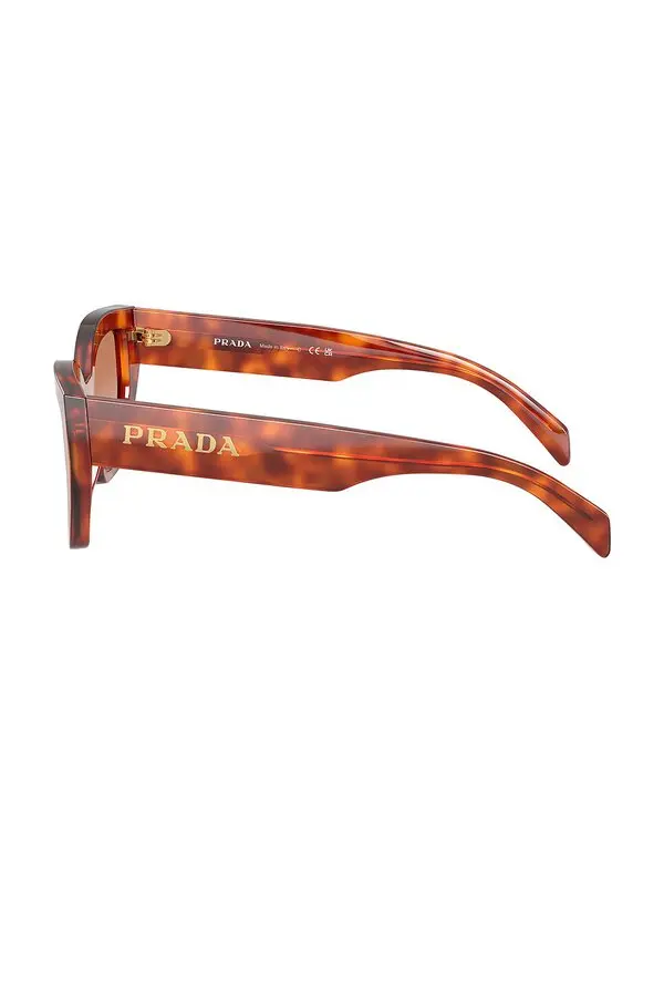 Prada Cat Eye Sunglasses - Cognac Tortoise