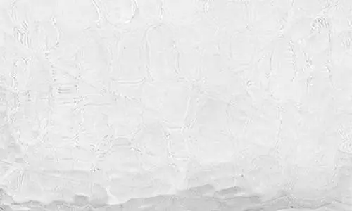 JULISKA Puro Double Old Fashioned Glass