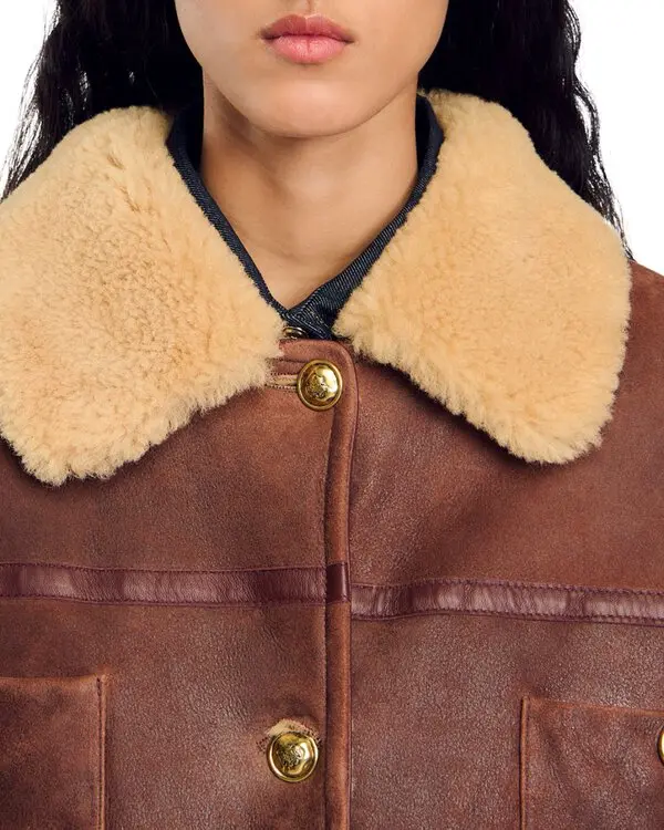 Sandro Chicago Leather And Shearling Jacket
