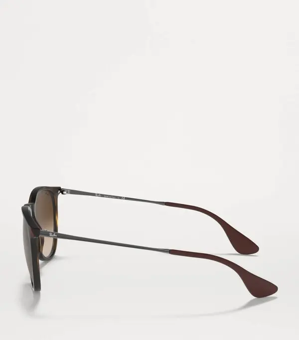 Ray-ban Erika Classic Sunglasses - Brown