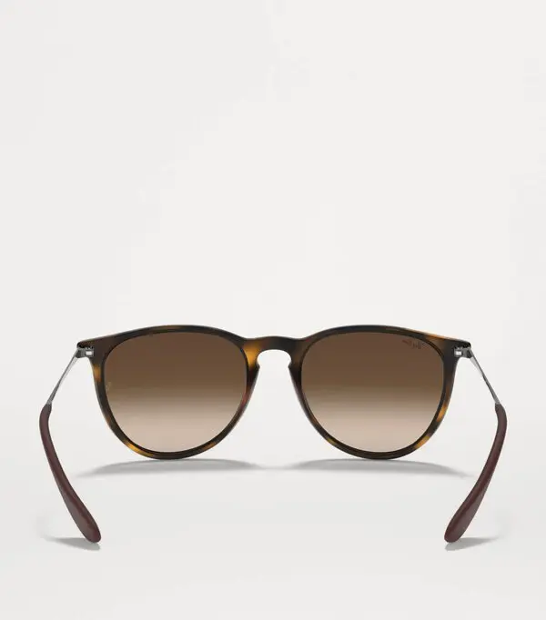 Ray-ban Erika Classic Sunglasses - Brown