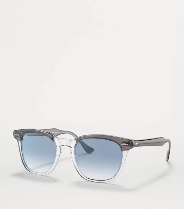Ray-ban Hawkeye Sunglasses