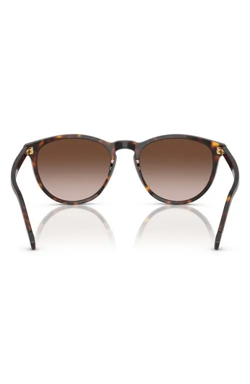 VOGUE 53mm Phantos Sunglasses - Dark Havana