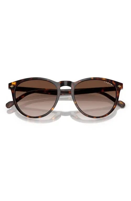 VOGUE 53mm Phantos Sunglasses - Dark Havana