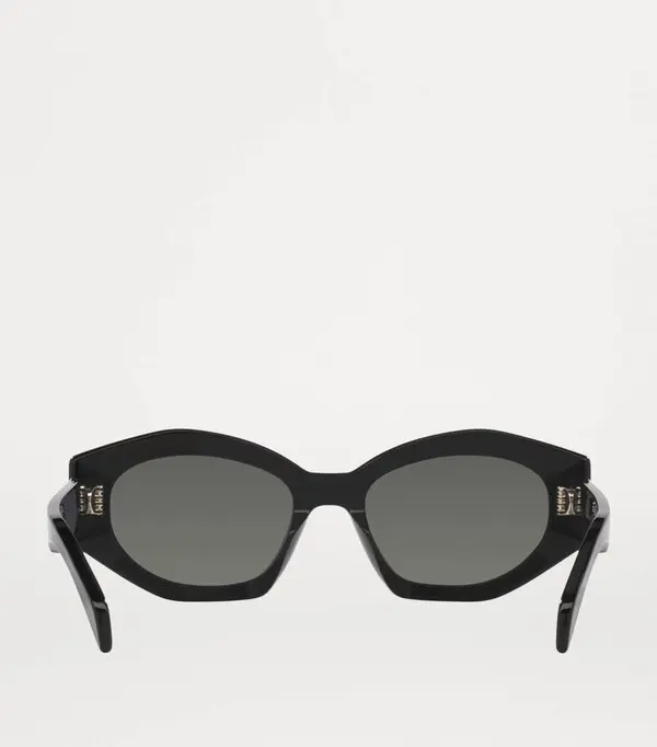 Celine Acetate 0cl000380 Sunglasses