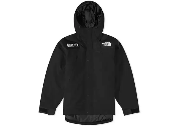 The North Face Gore-tex Mountain Jacket
