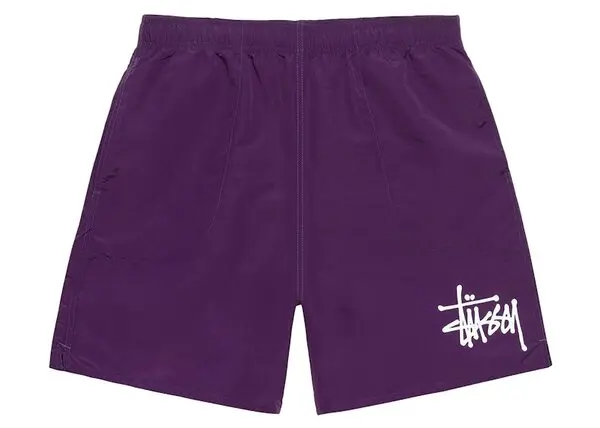 StÜssy Big Basic Water Short - Plum