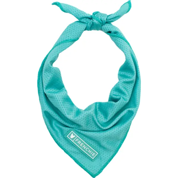 FRENCHIE Cooling Bandana - Aqua