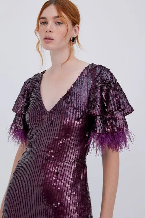 RAISHMA Sequin Embellished Gown With Feathered Sleeves