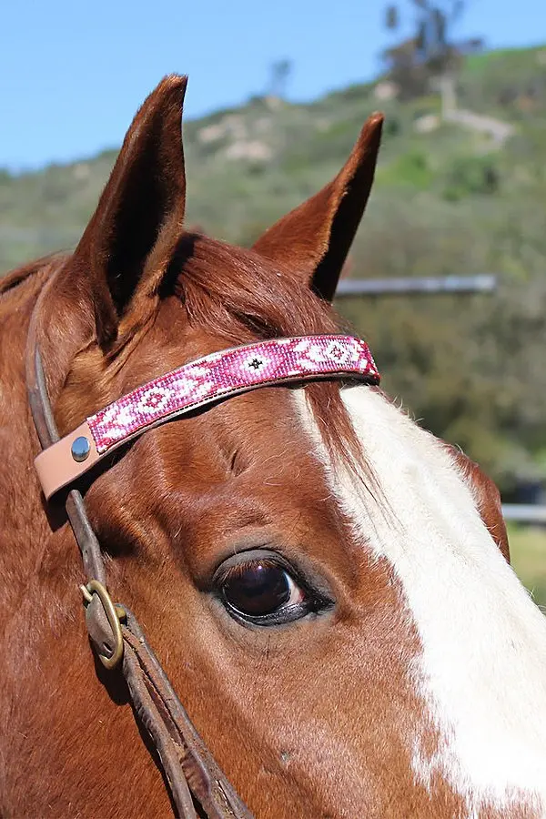 SAMBBOHO Beaded Horse Browband - Melrose