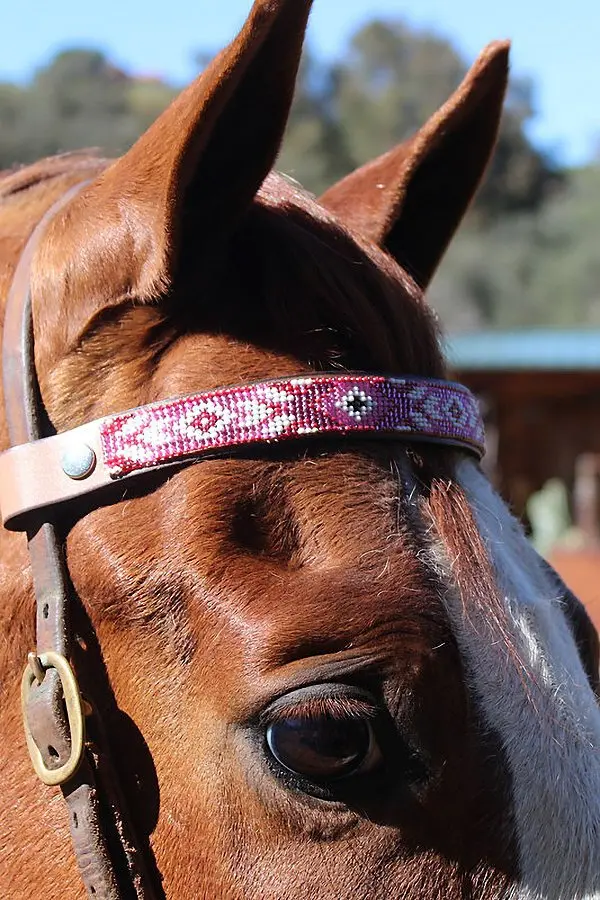 SAMBBOHO Beaded Horse Browband