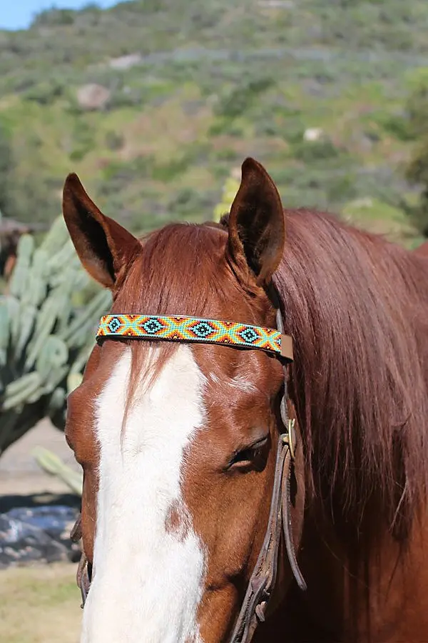 SAMBBOHO Beaded Horse Browband - Bahamas