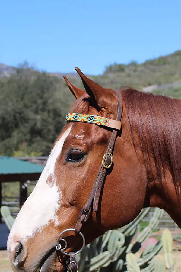 SAMBBOHO Beaded Horse Browband