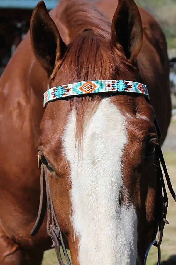 SAMBBOHO Horse Browband