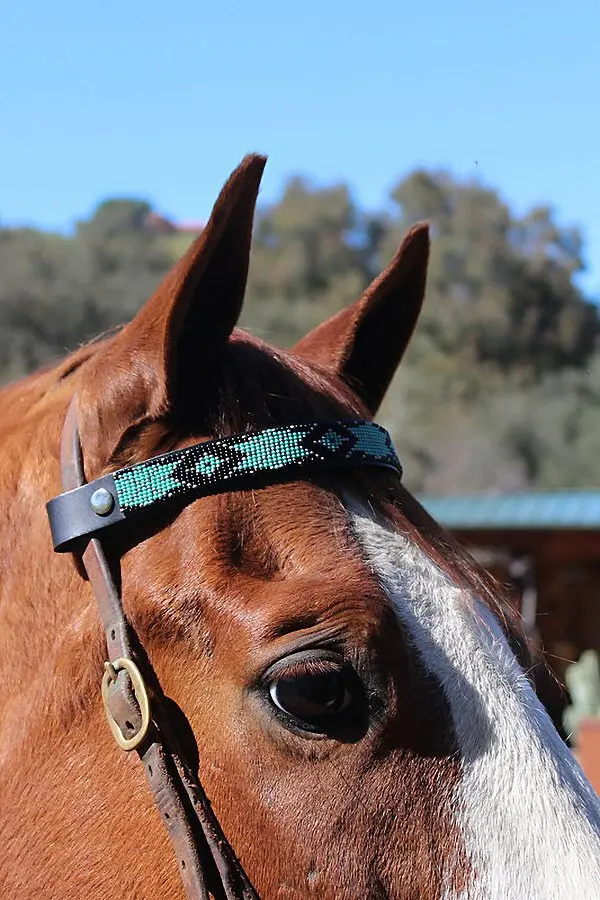 SAMBBOHO Horse Browband