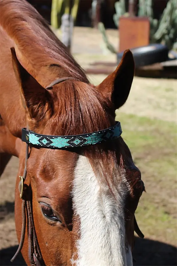 SAMBBOHO Horse Browband