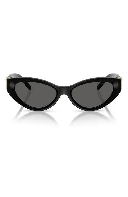 Tiffany & Co. 54mm Oval Sunglasses - Black
