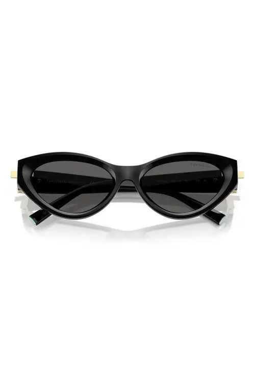 Tiffany & Co. 54mm Oval Sunglasses - Black