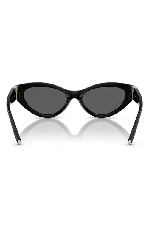 Tiffany & Co. 54mm Oval Sunglasses - Black