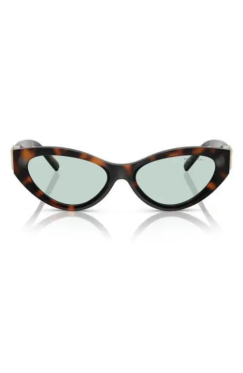 Tiffany & Co. 54mm Oval Sunglasses - Havana