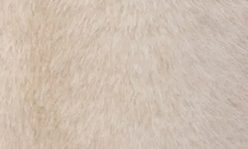 AZALEA WANG Faux Fur Coat