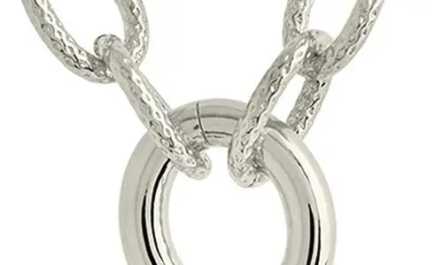 Sterling Forever Carter Round Link Statement Necklace - Silver