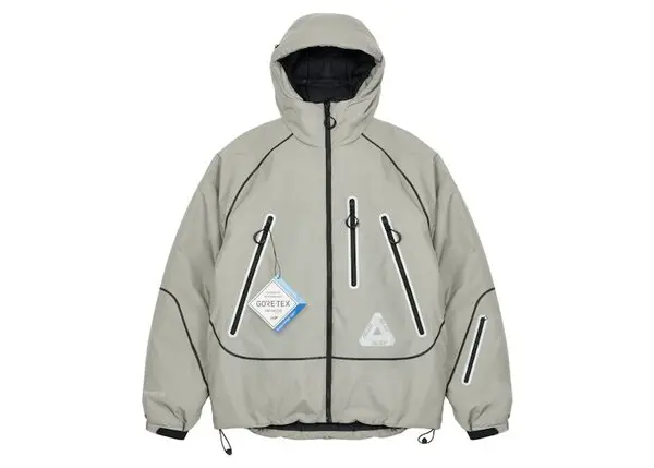 PALACE Gore-tex Infinium Ptech Jacket