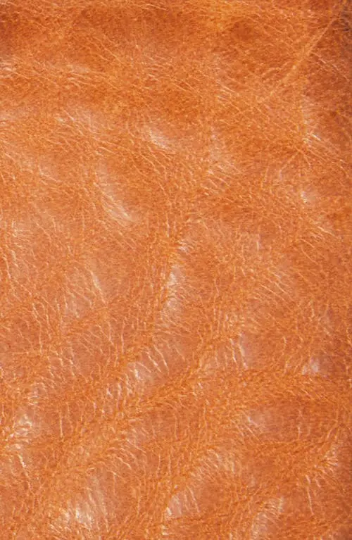 Isabel Marant Étoile Dara Leather Belt - Cognac